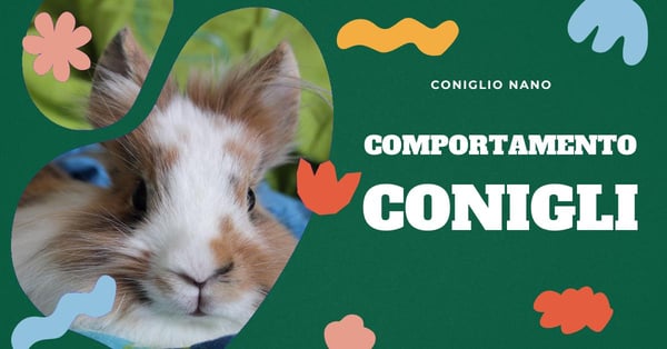Come Capire se il Tuo Coniglio è Arrabbiato: Interpretazione del ...