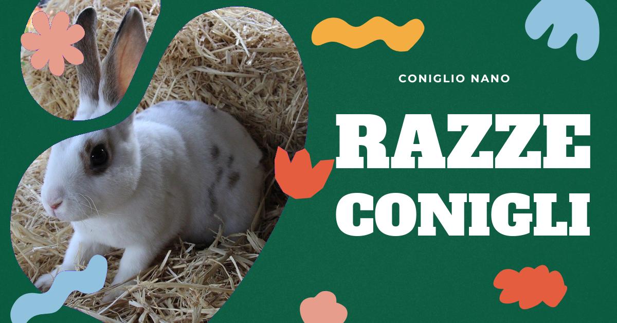 Tipi di Conigli: Scopri le Diverse Razze e le loro Caratteristiche Uniche