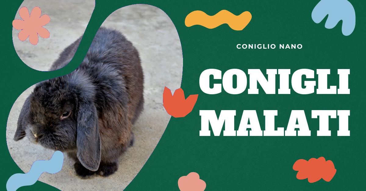 Rogna Sarcoptica nel Coniglio: Sintomi, Cause, Trattamento e Prevenzione