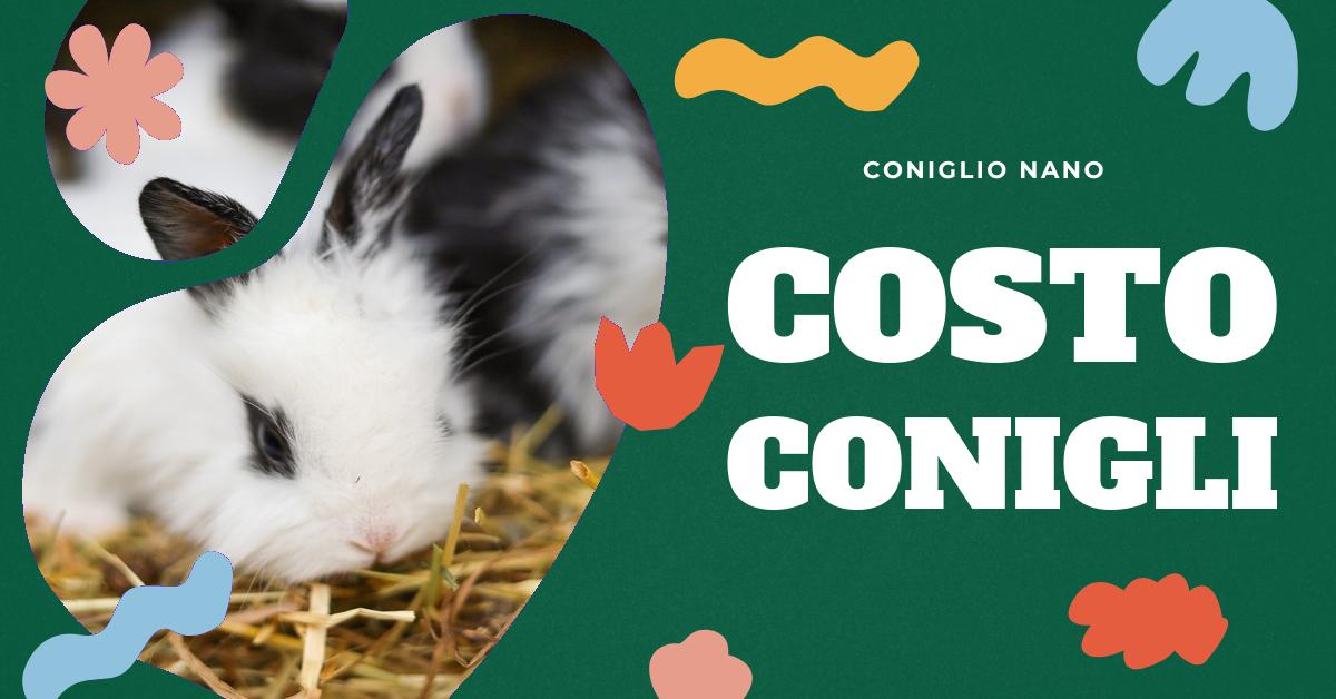 Prezzo Coniglio: Costo Medio, Razze Popolari e Caratteristiche dei ...