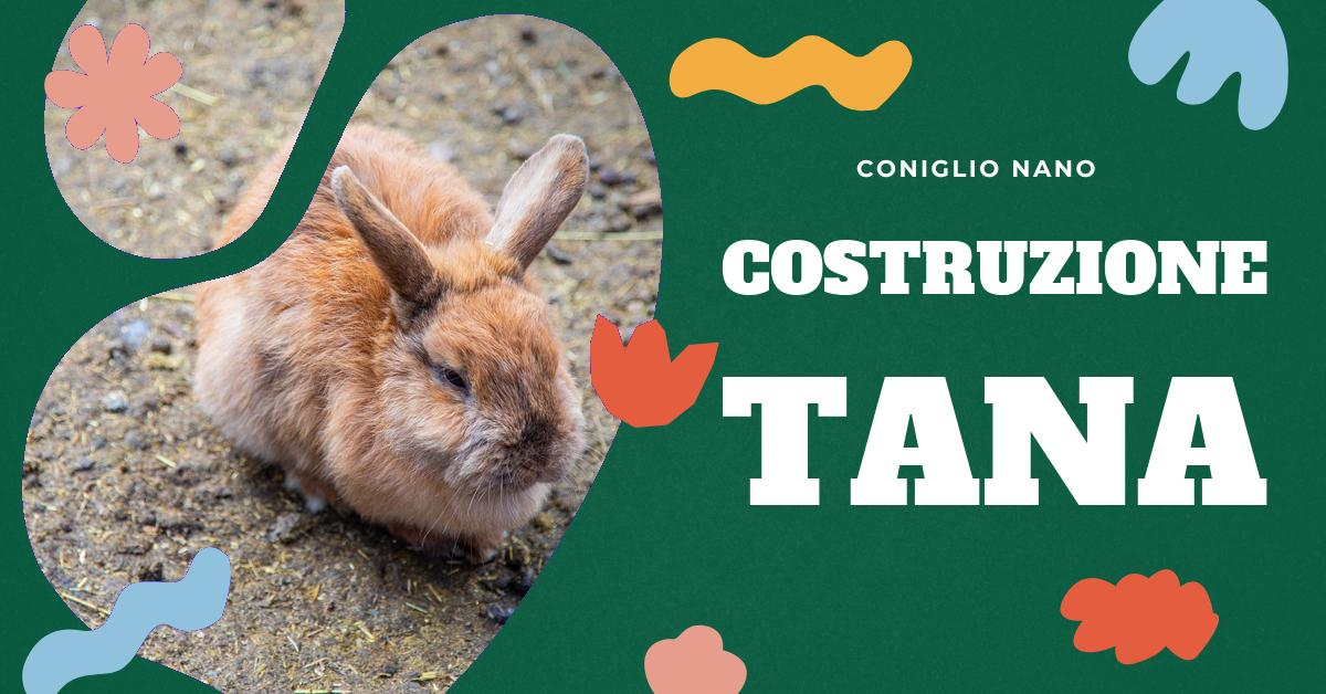 Costruisci una Tana per Conigli Fai da Te: Consigli, Idee Creative e Passaggi Dettagliati per il ...