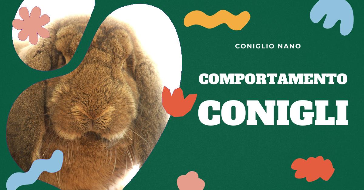 Perché il Coniglio si Sdraia Vicino a Me? Interpretazione del ...