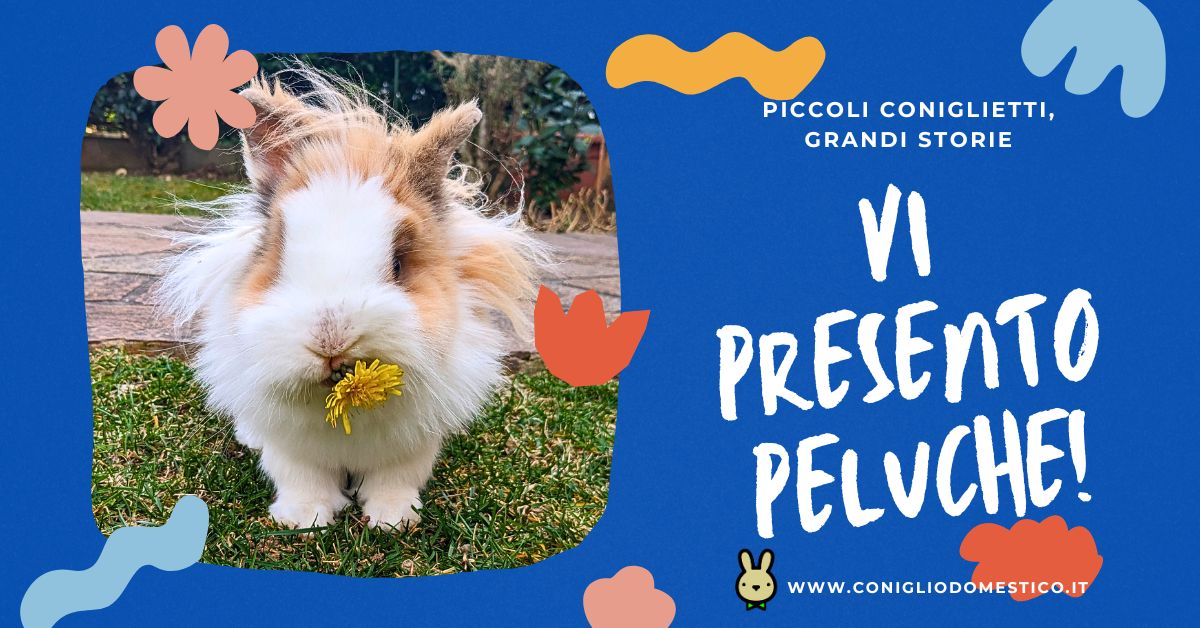 Vi presento Peluche!